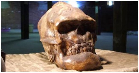 The Mystery Surrounding The Ancient Giants Of Nevada And The Lovelock ...