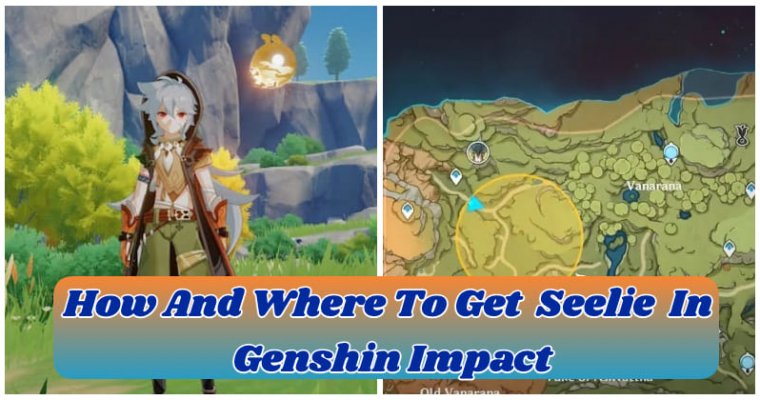 Seelie Genshin Impact: Where And How To Get It